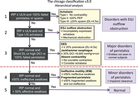 The Chicago Classification Of Esophageal Motility Disorders V30