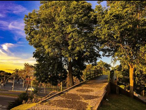 Apartamento No Hauer Hauer Guia Completo Do Bairro