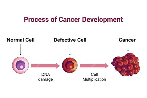 Premium Vector Process Of Cancer Cell Development Science Diagram Vector Illustration
