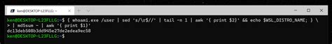 No Uuid Affected To Wsl Instances · Issue 6347 · Microsoftwsl · Github