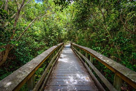 Perfect One Day In Everglades National Park Itinerary For First Timers