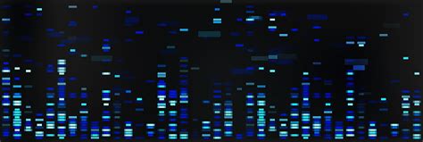 Dna Sequence Map Genetic Pattern Background With Medical Genome Research Visualization Abstract