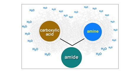 Amide