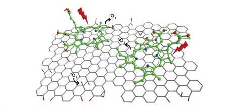 Schematic Representation Of The Flg Ce6 Hybrid Nanomaterial Ce6