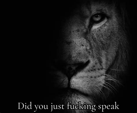 Lion Meme Lion Discover And Share S