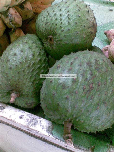Miracle Fruit Graviolaguyabano Cure For Cancer Trunk Locker