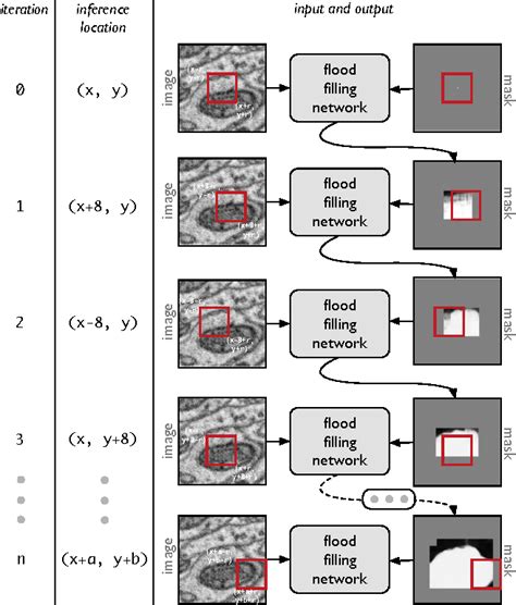 Figure From Flood Filling Networks Semantic Scholar