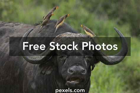 Sampling Relationship Photos Download The Best Free Sampling