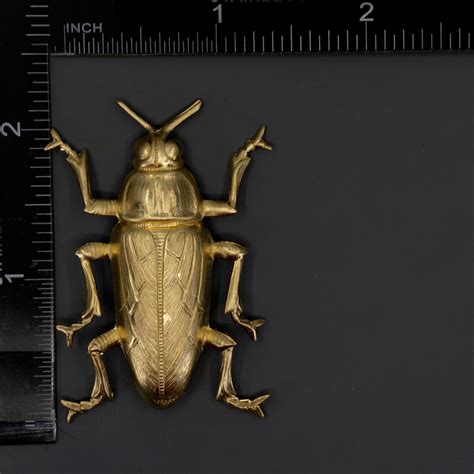 Brass Findings Large Brass Beetle Bugs Unplated Brass Etsy