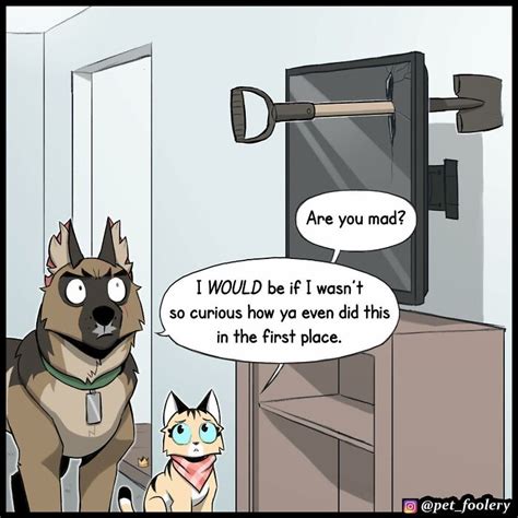 Friendship Between Pixie And Brutus In 9 Of His Latest Comic