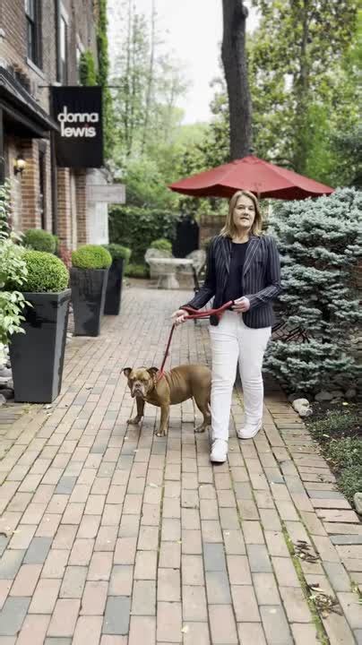 Andrew Ibbotson Posted On Linkedin