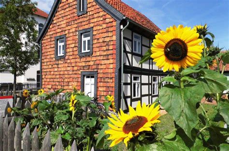 Gärtnermuseum Wolfenbüttel Neue Wege Für Die Kultur Regionalheute De