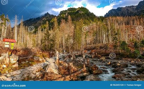 Studeny Potok Cold Stream In High Tatras Mountains Slovakia Stock