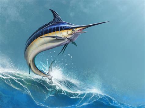 Marlin Billfish At Joe Tepper Blog
