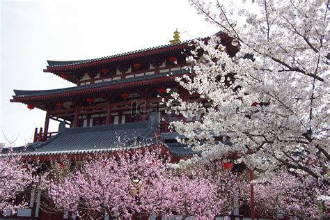 陕西省西安大唐芙蓉园高清摄影大图 千库网