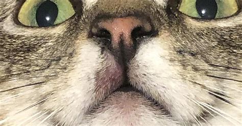 Lip Album On Imgur Lip Album On Imgur