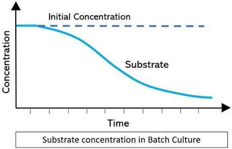 Difference Between Batch And Continuous Fermentation With Comparison