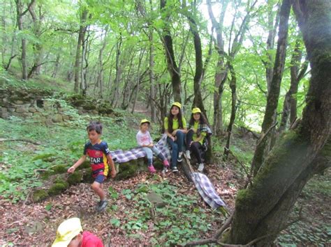 საზაფხულო ბანაკი Added A New Photo საზაფხულო ბანაკი