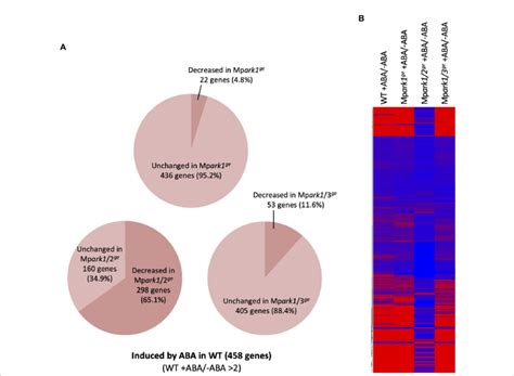 Profiles Of Aba Responsive Gene Expression In Wild Type Wt And The Download Scientific