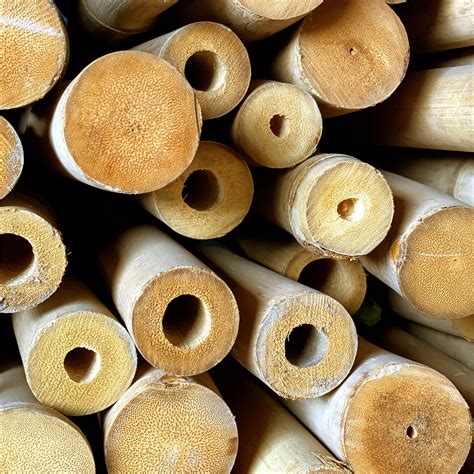 1 2 D X 72 L Solid Structural Bamboo Poles 6 Poles