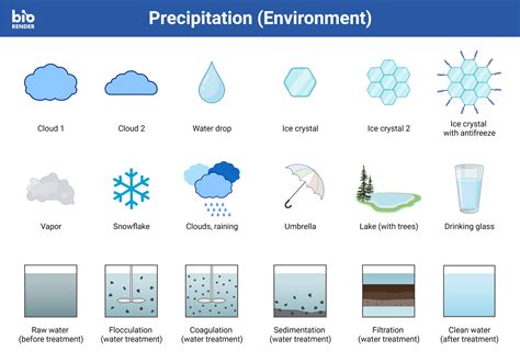 Precipitation Science