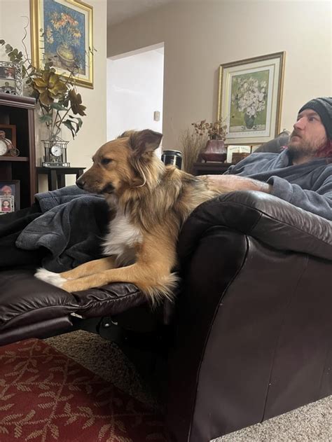 My Favorite Mutt ️🥹 Rmutt