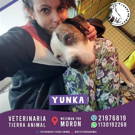La Viejita Yunka Es Una Vieji Veterinaria Tierra Animal