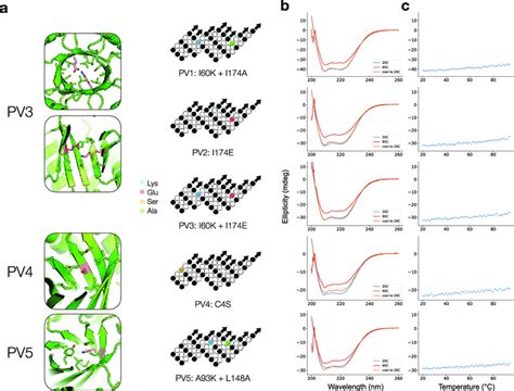 Characterization Of Polar Variant Designs A Structural Contexts Of