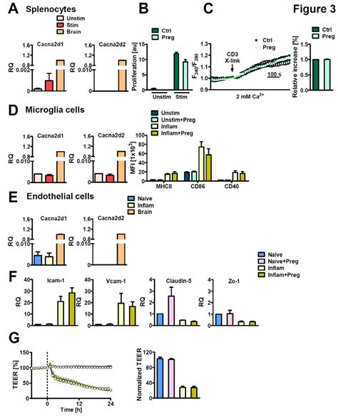 Other Eaems Relevant Cell Types Show No Response To Pregabalin Download Scientific Diagram