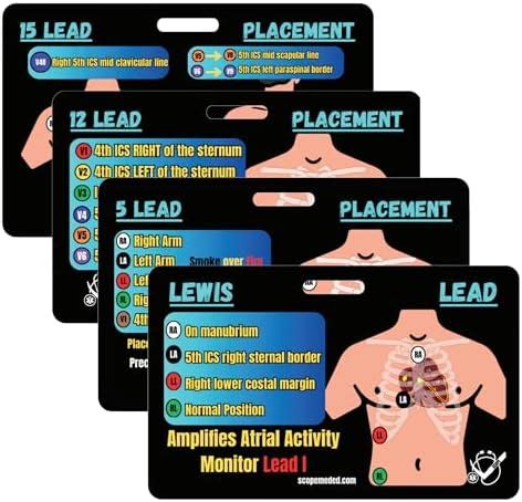 Ekg Badge Card Ekg Badge Buddy Nursing Reference