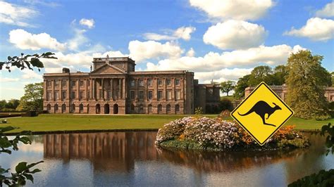 My Favourite Barbara Palvin  Tintern Avenue Top Treasures