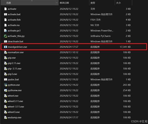 Python Selenium安装microsoft Edge驱动器下载配置流程最新推荐python脚本中心 编程客栈