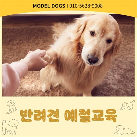 반려견 예절교육 원활한 의사소통을 위해서 네이버 블로그