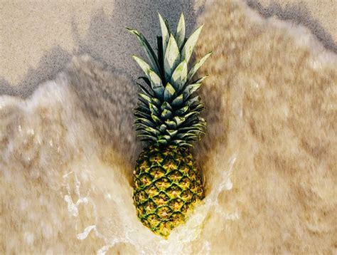 Hypnotic Orgasms Everything You Need To Know O Diaries