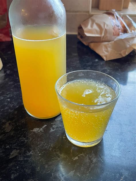 Scoby Not Floating Rkombucha