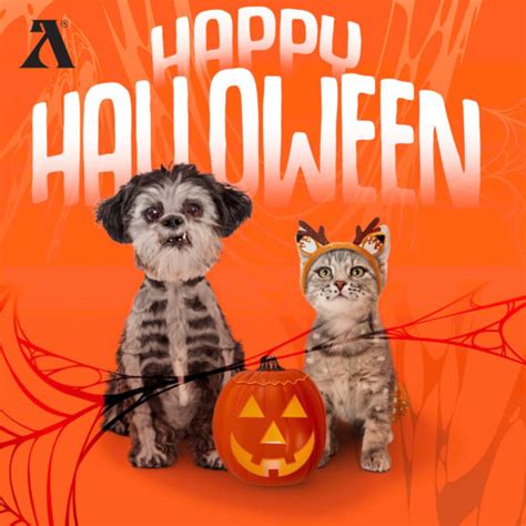 Happy Halloween From Alpha Pet