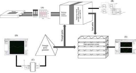 Flow Diagram Of Microelectrode Biosensor Cyclic Voltammetry Mbcv Method Download Scientific