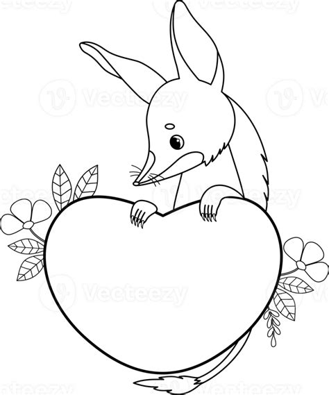 Bilby With Heart Drawing 35677291 Png