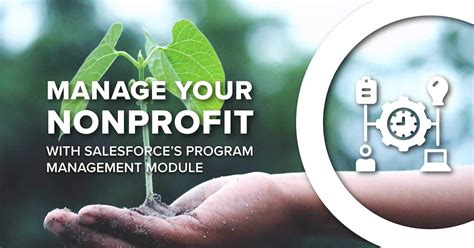 Program Management In Salesforce Insights For Nonprofits Program Management In Salesforce Insights For Nonprofits