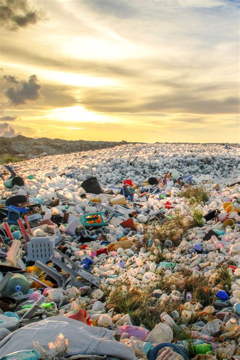 How To Decrease Plastic In Our Lives