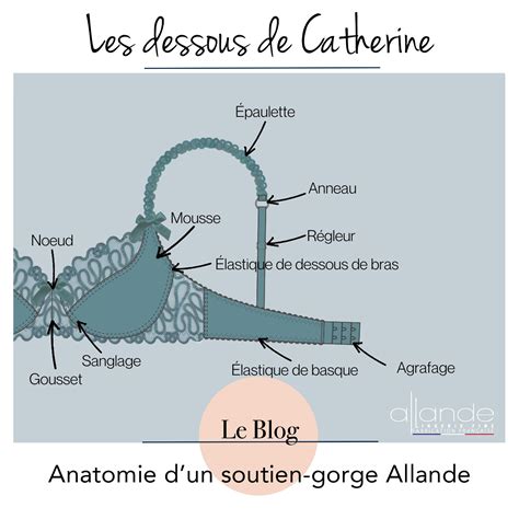 Anatomie Dun Soutien Gorge Allande Les Dessous De Catherine