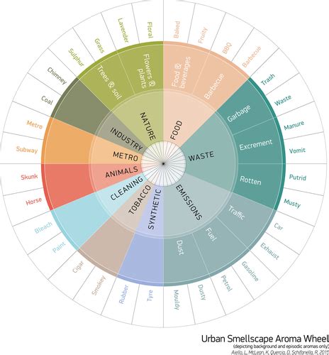 Make A Smell Map Discovery Senses