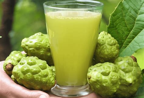 Noni Juice24 Benefits Nutrition Side Effects And How To Drink