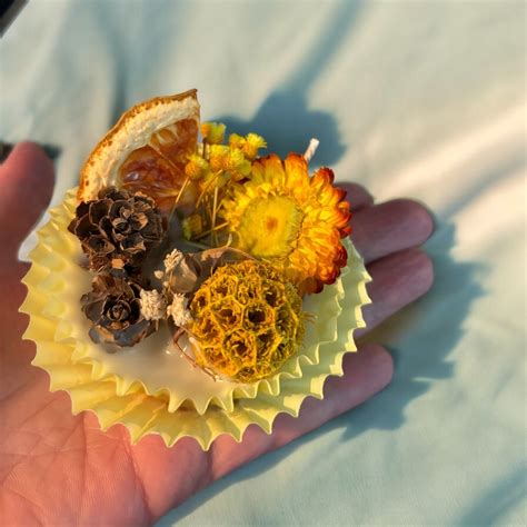 Litha Summer Solstice Fire Starter Etsy