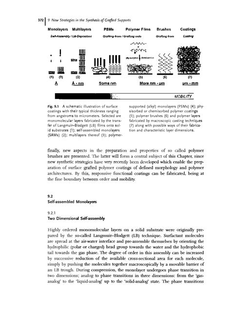 Polymers Schematic Illustration Big Chemical Encyclopedia