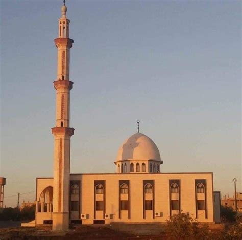 أخبار صماد ألان