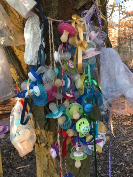 The Pacifier Tree Joshua Sofaer