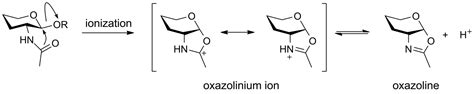 Oxazolinium Ion Cazypedia