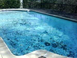 How To Remove Black Algae In Your Pool Pool Buyer Guide