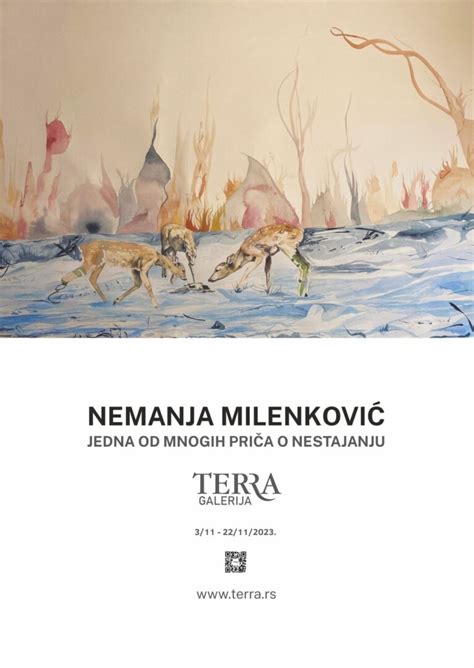 Nemanja Milenković Jedna Od Mnogih Priča O Nestajanju